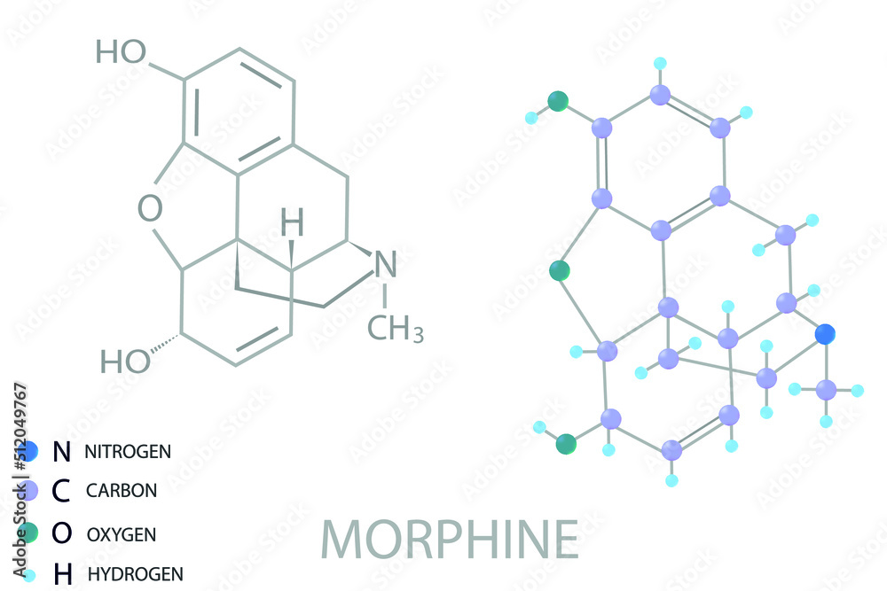 Morphine molecular skeletal 3D chemical formula. Stock Vector | Adobe Stock