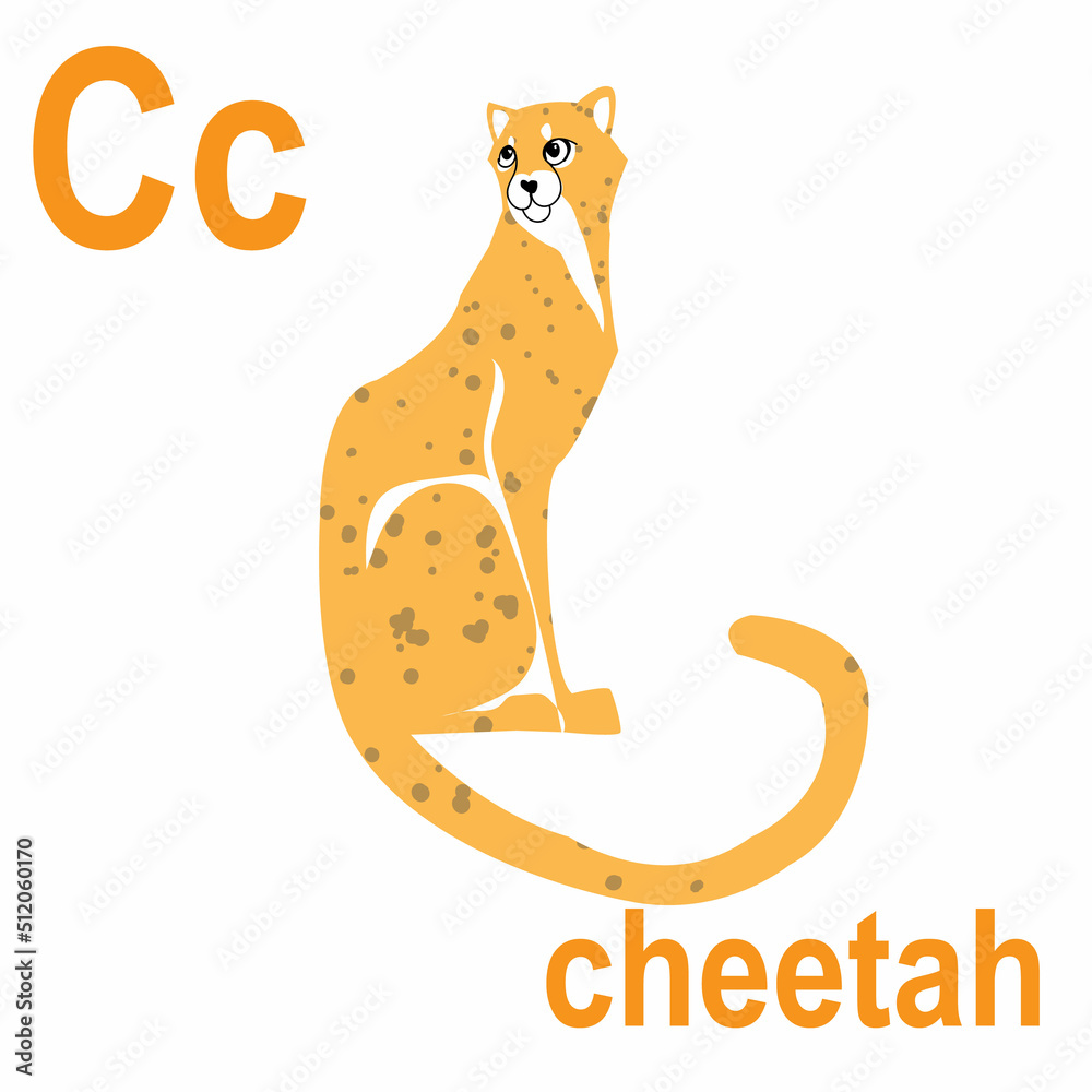 Cheetah is a predatory cat, ABC banner. Postcards and posters with the ...