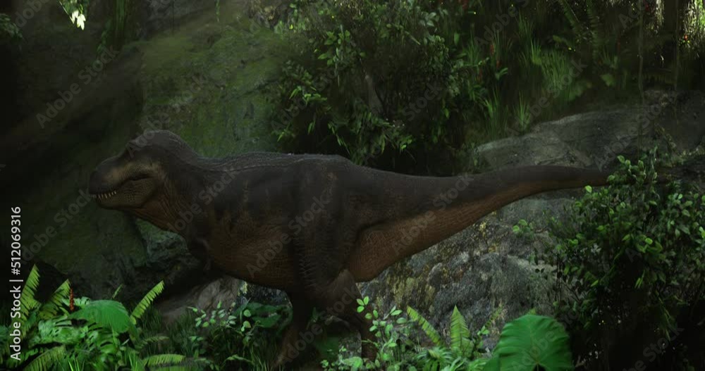 Tyrannosaurus walks through the Jurassic jungle. The Age of Dinosaurs ...