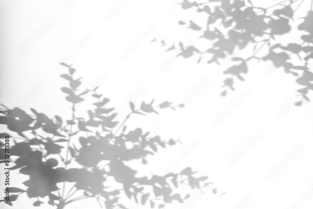Shadows from plants on a white wall. Pattern from the leaves of flowers ...