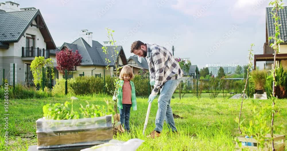 Little cute Caucasian boy helping his father in planting trees in ...