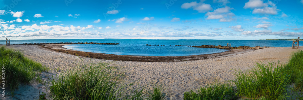 Panoramic curved beach seascape at the seabird animal wildlife ...