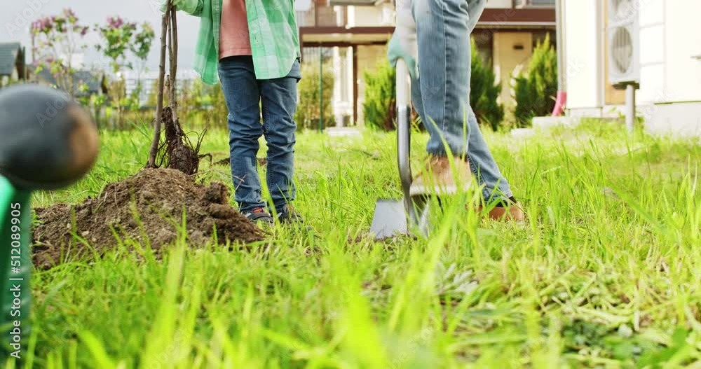 Close up of digging hole in ground for tree to grow. Little cute ...