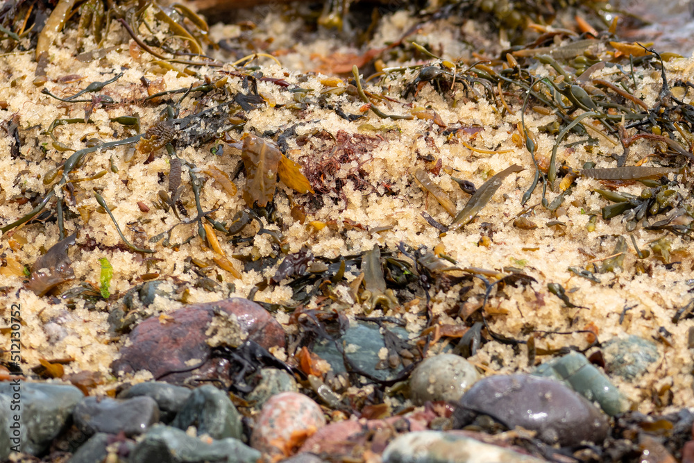 Foto de Kazunoko or herring fish roe from small fish spawning along a ...