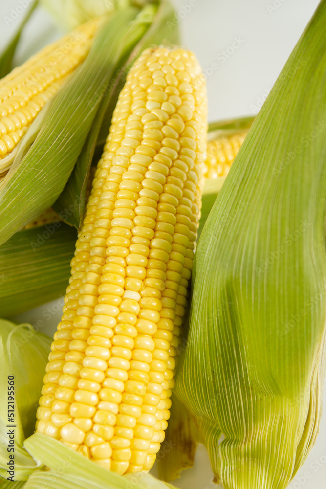 Milho verde recém colhidas em fotos de estudio Stock Photo | Adobe Stock