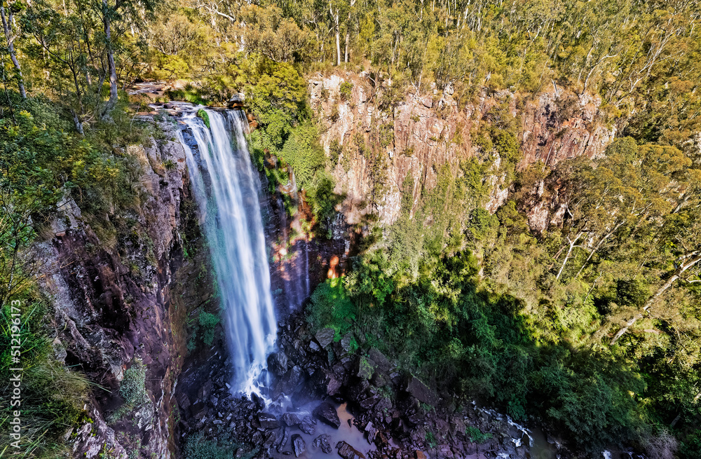 Australian native bush showing off Queen Mary Falls cascading ofer ...