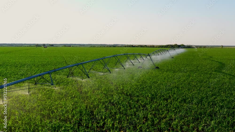 Cinematic nature at sunset. Flying above the water spraying the green ...