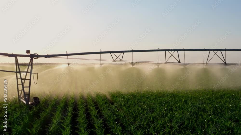 Video Stock Cinematic nature at sunset. Flying above the water spraying ...