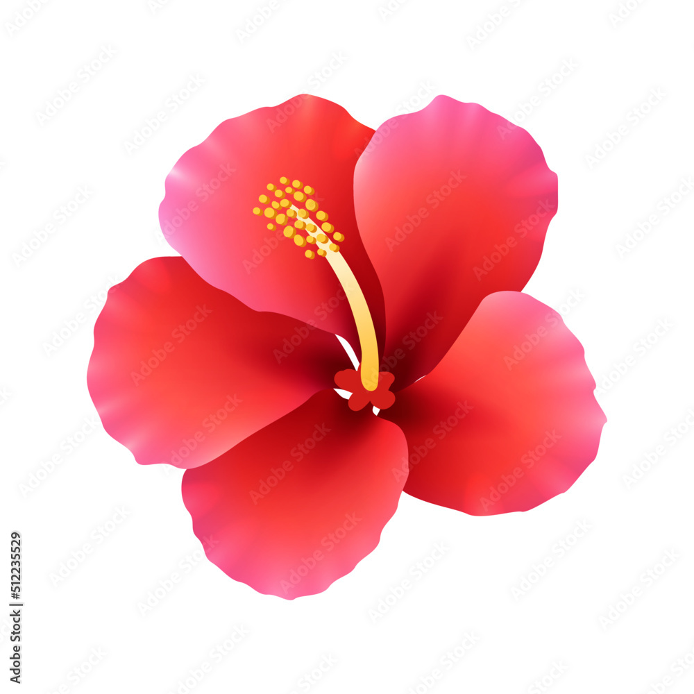 Realistic red hibiscus flower flat vector illustration Stock Vector ...