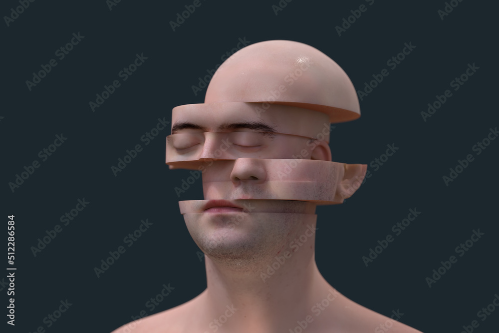 human head divided into parts Stock Illustration | Adobe Stock