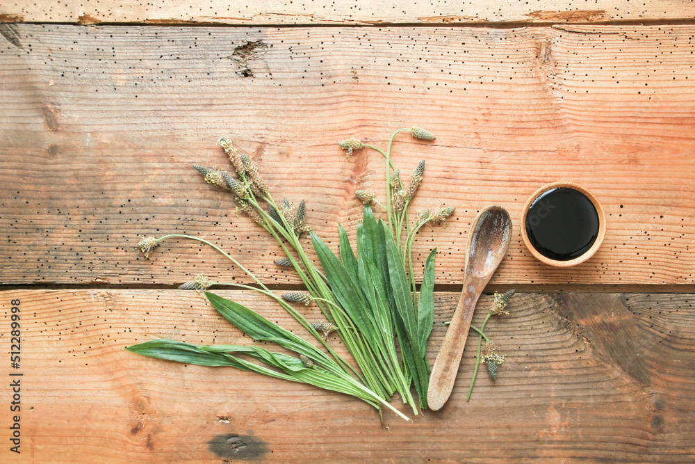 Spitzwegerich Saft Hustensaft Sirup selber machen Stock Photo | Adobe Stock