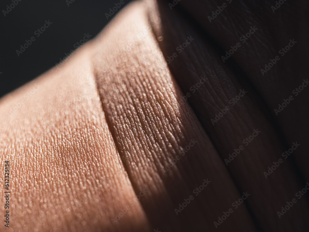 Skin folds Stock Photo | Adobe Stock