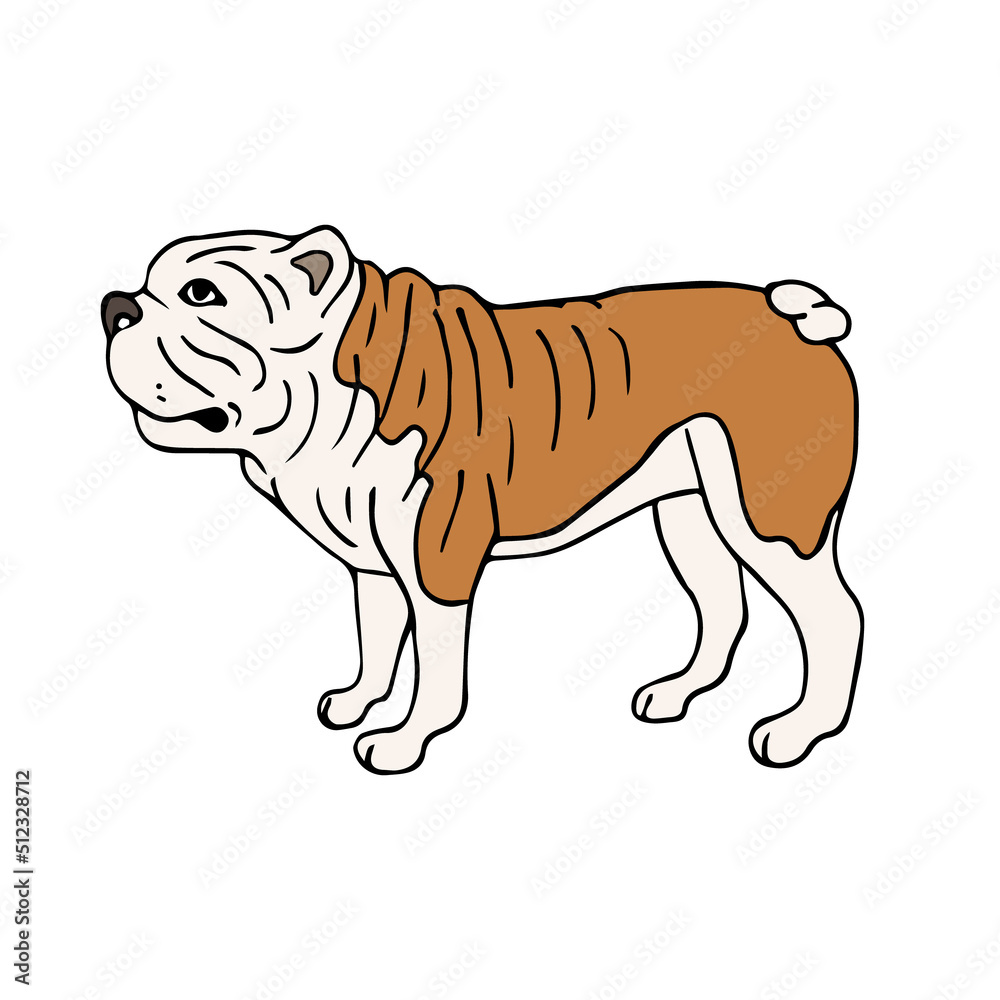 Vector hand drawn doodle sketch colored American bulldog dog isolated ...