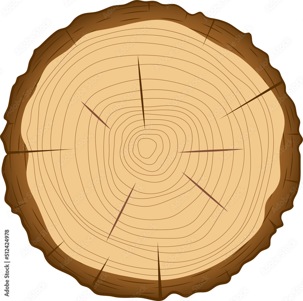Cross section of wooden tree clipart design illustration Stock ...