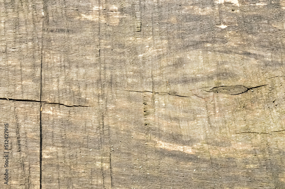 oak, old wood background, old wood texture,light wood background, wood ...