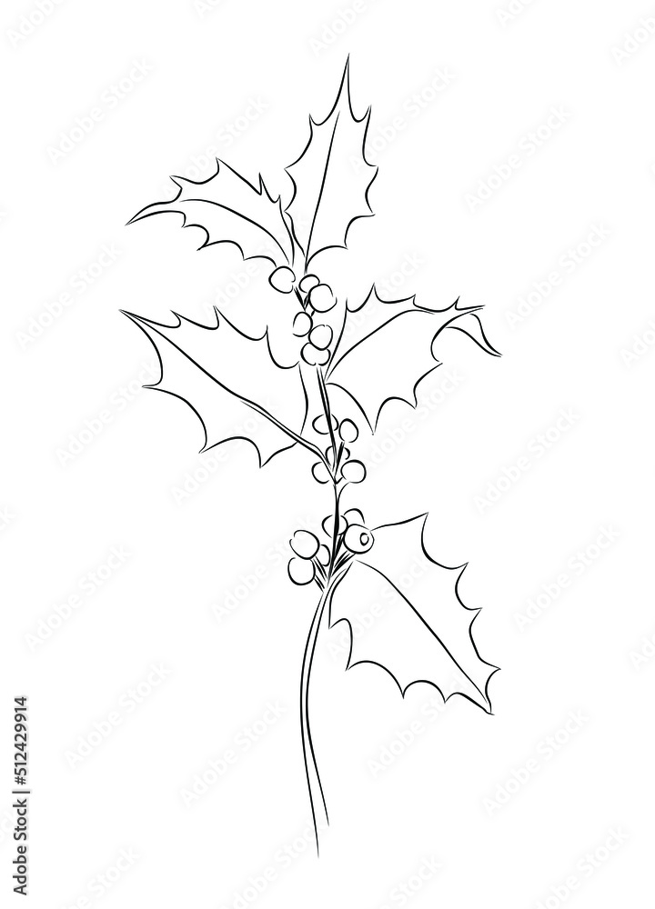 Holly Berry flowers line art vector illustration. Monochrome hand drawn ...
