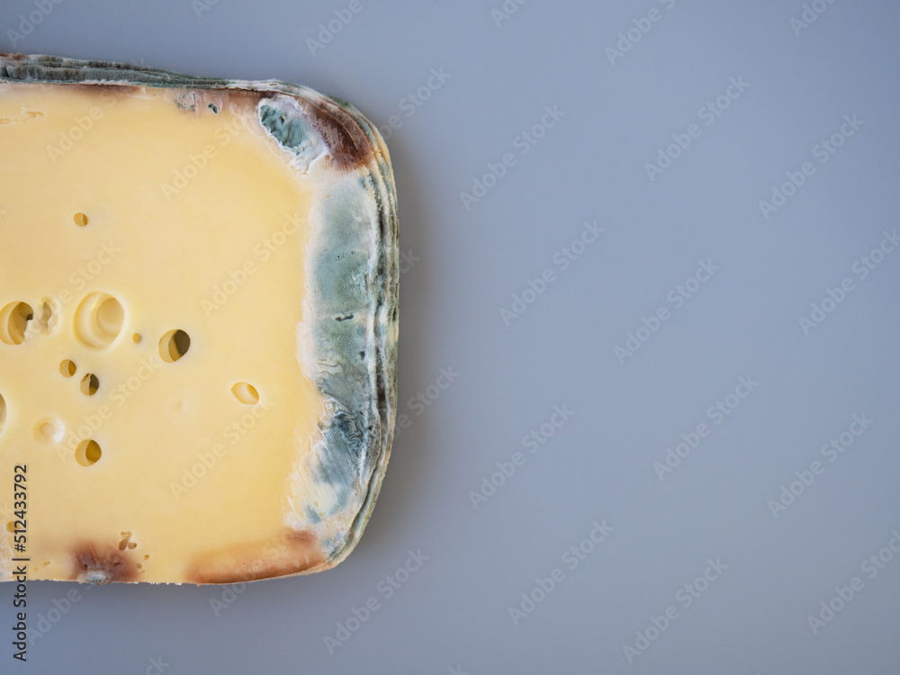 Expired moldy hard cheese purchased at the supermarket. Wastage of ...