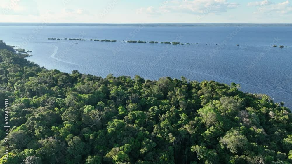 Nature tropical Amazon forest at Amazonas Brazil. Mangrove forest ...