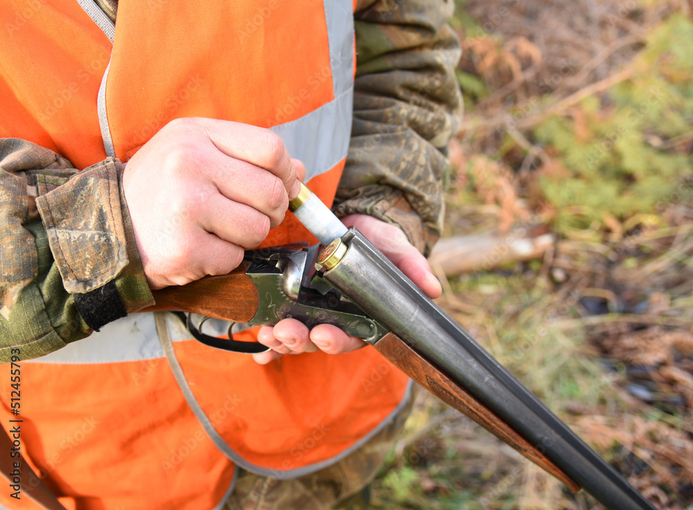 Shotgun in hunter hand. Hunter loads Cartridge (firearms) with shot ...