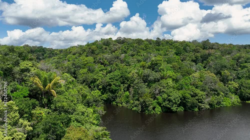 Manaus Brazil. Taruma River at Amazon Forest affluent of giant Black ...