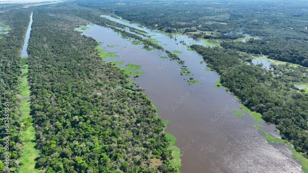 Nature aerial view of Amazon forest at Amazonas Brazil. Mangrove forest ...