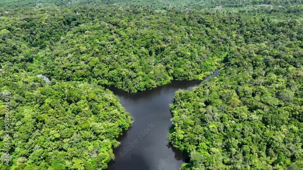 Amazon River at Amazon Forest. The famous tropical forest of world ...