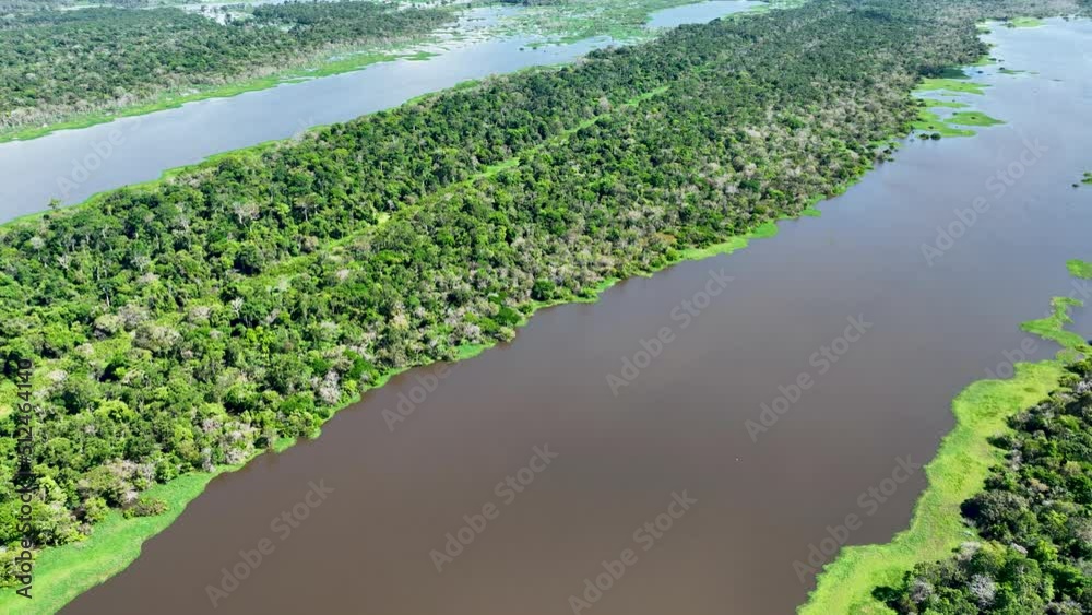 Nature aerial view of Amazon forest at Amazonas Brazil. Mangrove forest ...