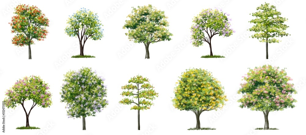 watercolor blooming flower tree or forest side view isolated on white ...