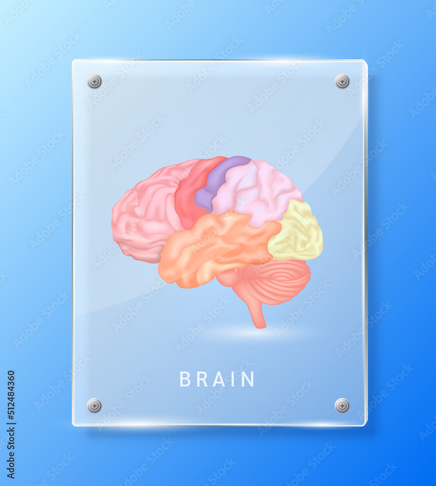 Human brain inside square translucent glass panels for pharmacy ...
