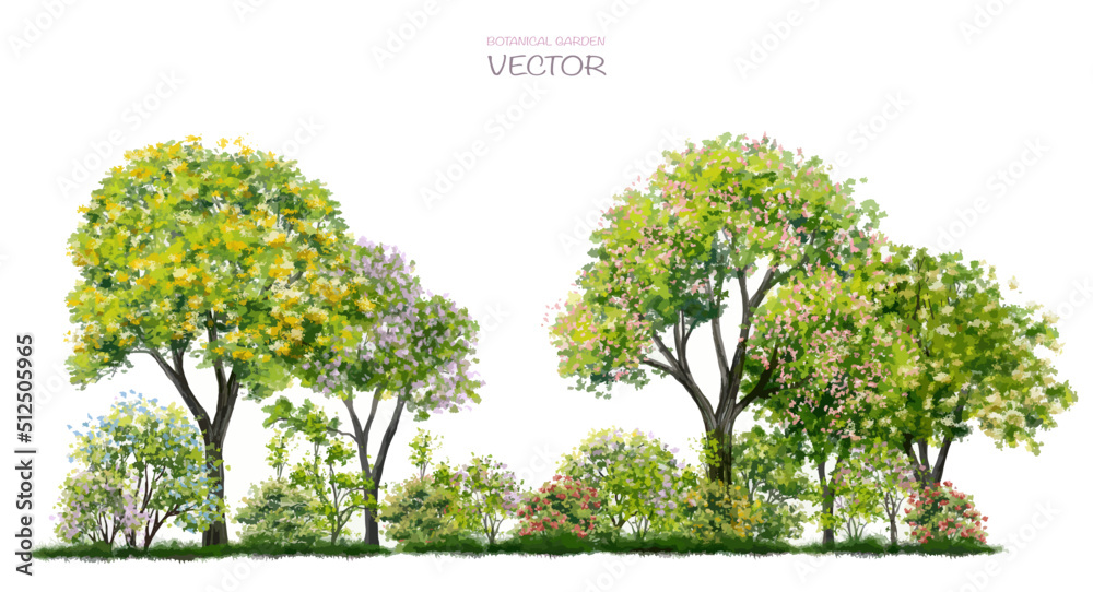 Vector watercolor blooming flower tree or forest side view isolated on ...