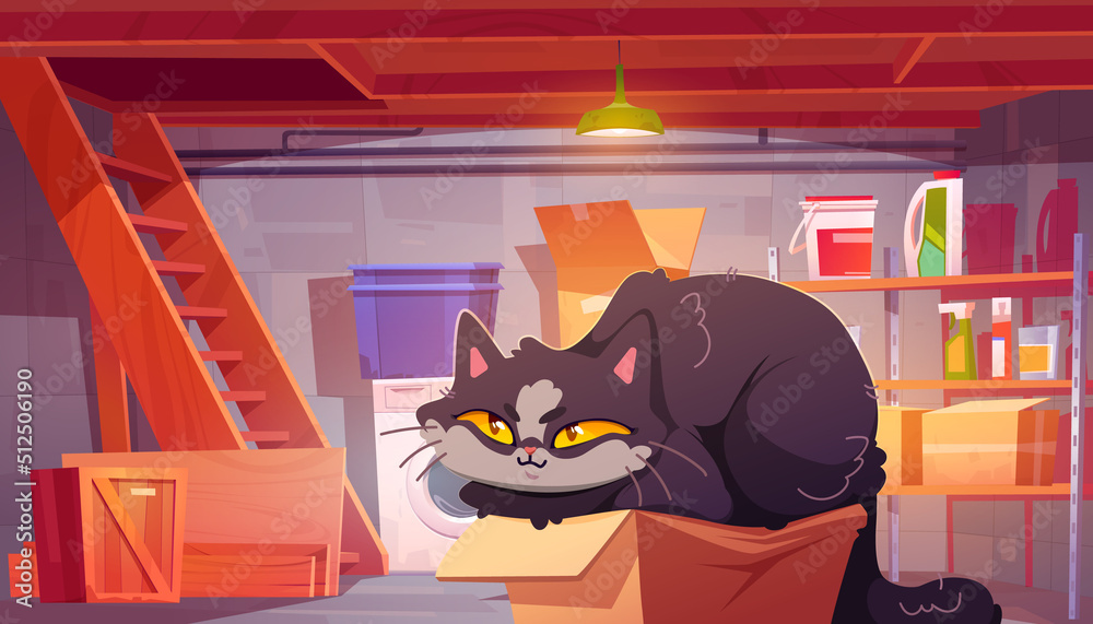 House basement with cute cat sitting in cardboard box. Vector cartoon ...