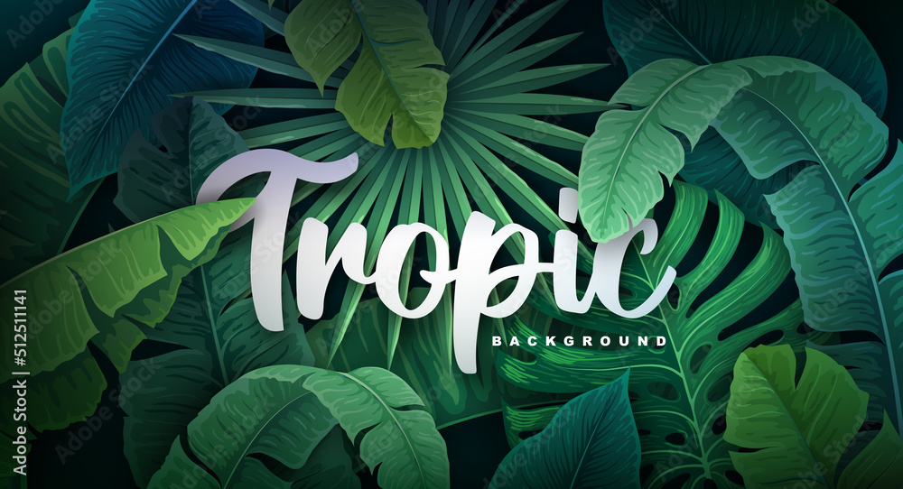 Tropic wild forest background with different tropic leaves. Vector ...