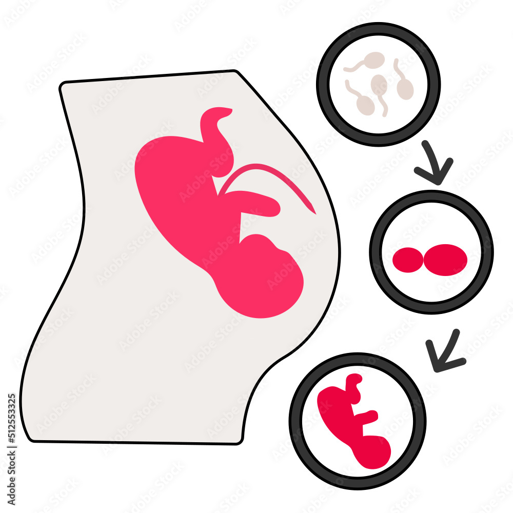 pregnant belly ivf process Vector color Icon Design, In Vitro ...