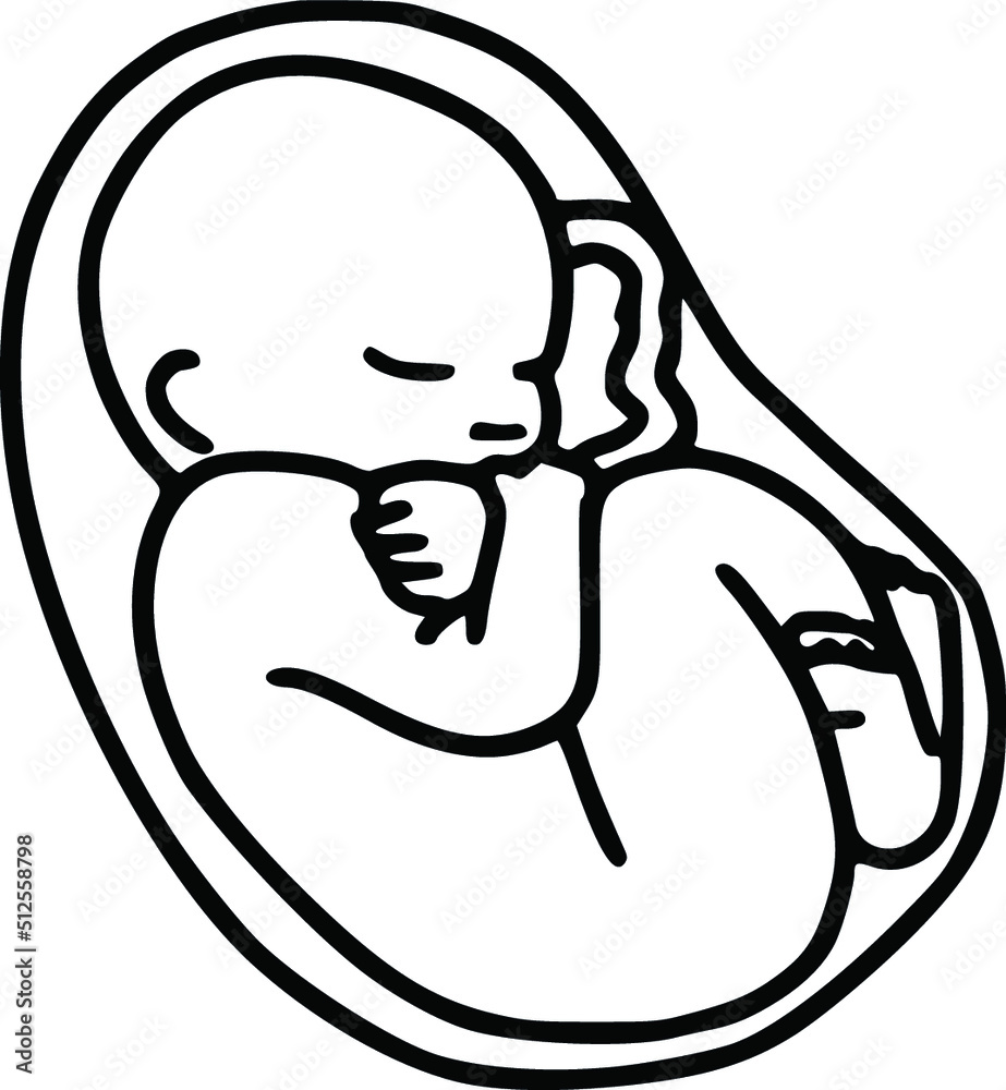 Line art drawing illustration of a baby. Abstract vector minimalist ...