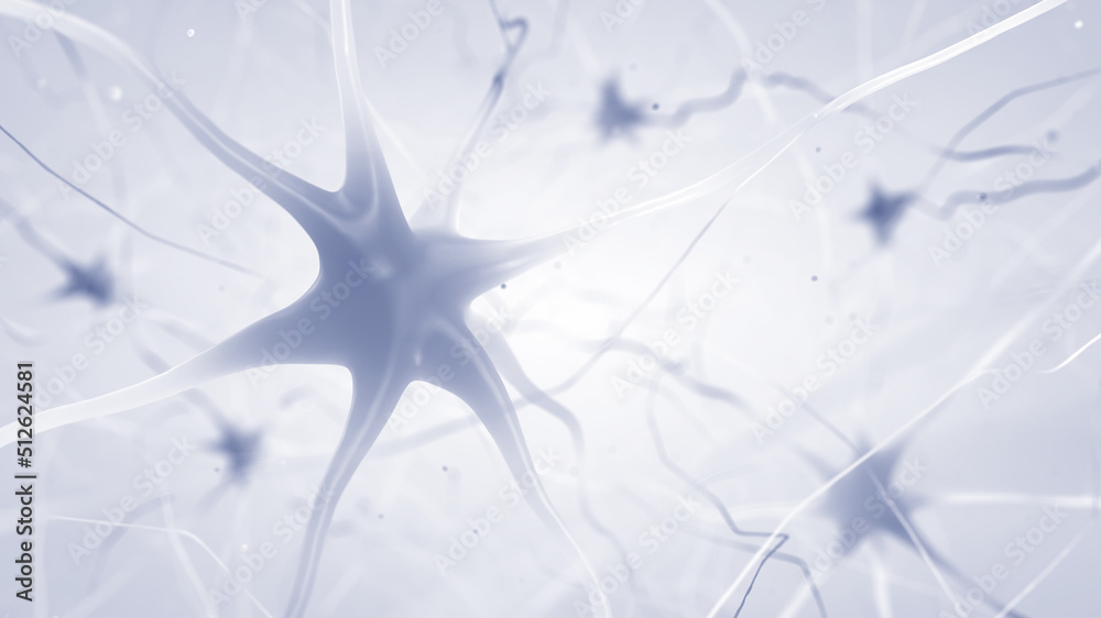 Human brain nerve cells (neurons) on white. The neurons transmit ...