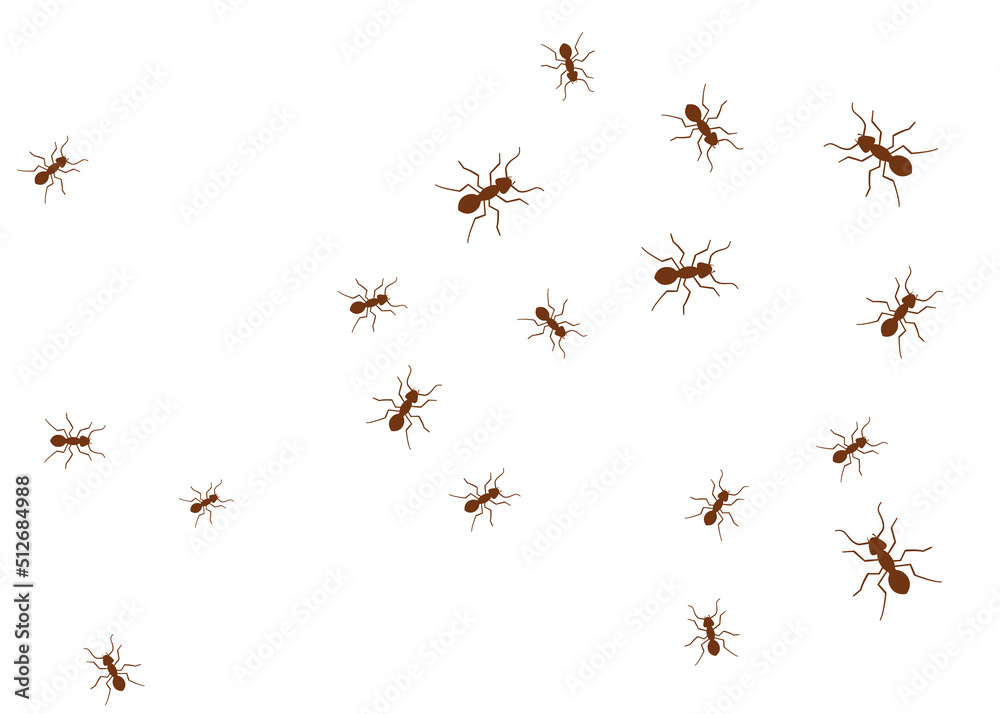 Ant vector trail marching illustration. Ant bug pest control background ...