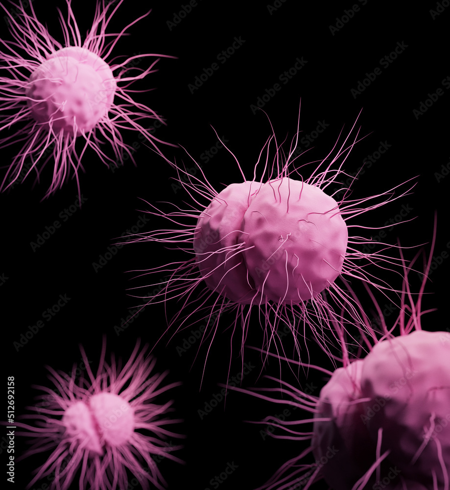 Neisseria gonorrhoeae bacteria 3d rendering medical illustration. This ...