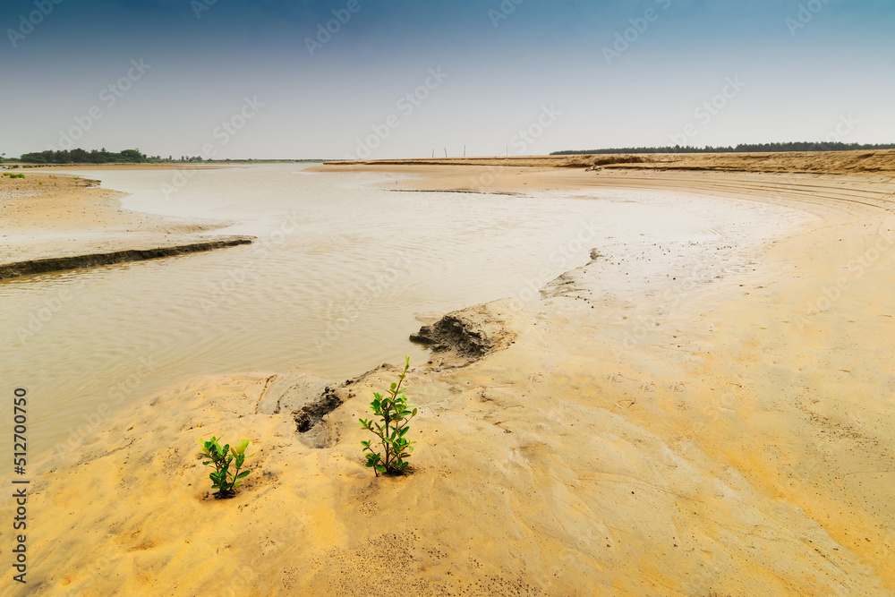 Beautiful turn of a river , river bed landscape of Tajpur with tree ...