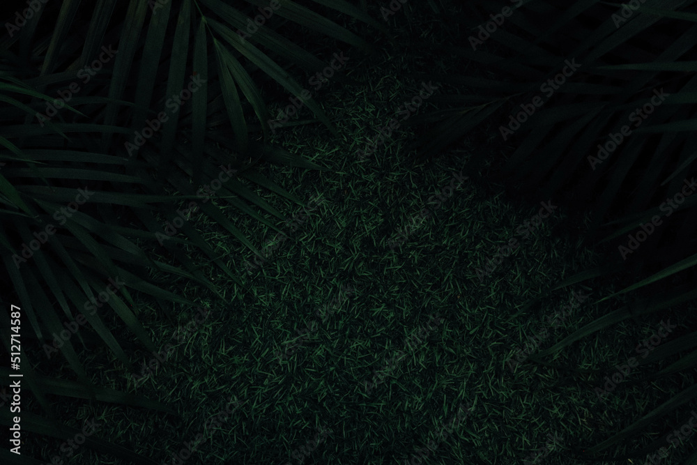 Dark Green Background for Edit and Text Design. Green Backdrop. Stock ...