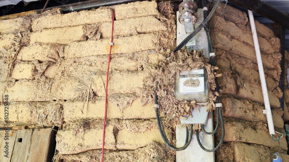 Old electric meter with termites. Watt-hour Meter on pole house with ...