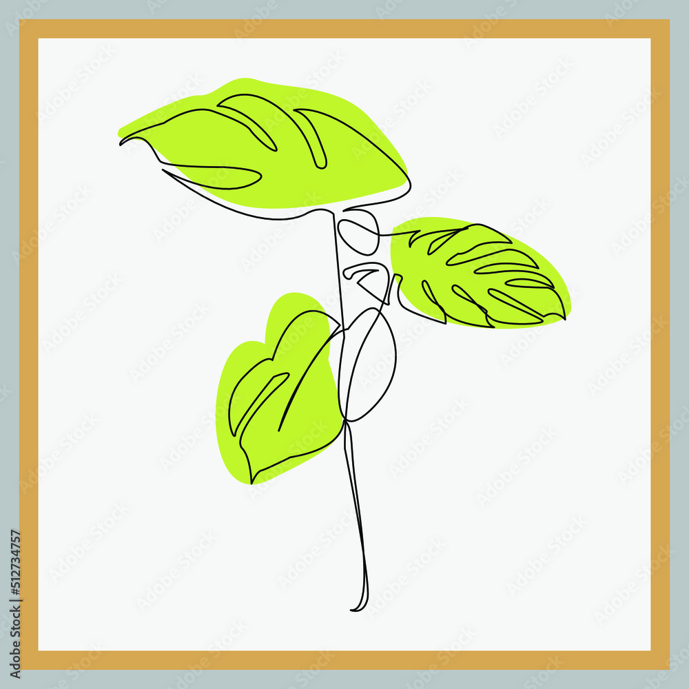 Continuous line drawing of split leaf philodendron, monstera plant ...
