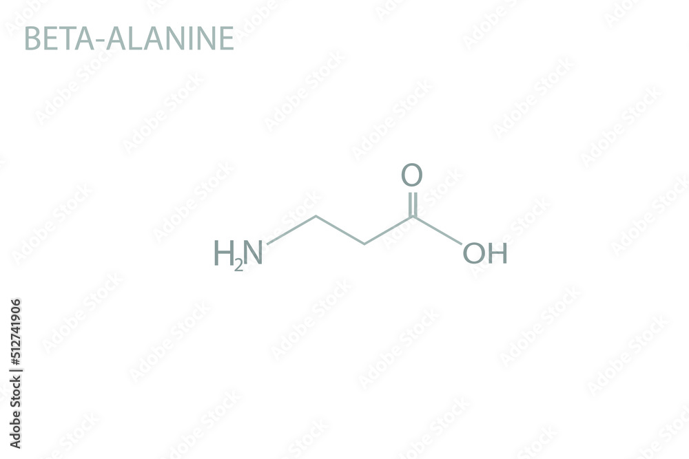 Beta-Alanine molecular skeletal 3D chemical formula. Stock Vector ...