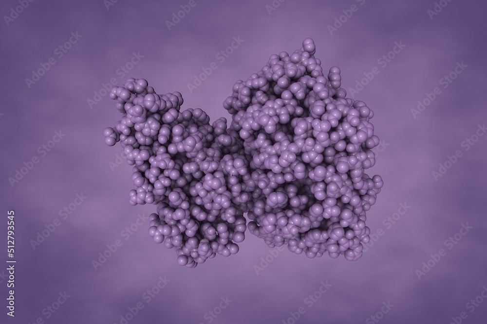 Molecular model of cholera toxin (or choleragen) on very peri ...