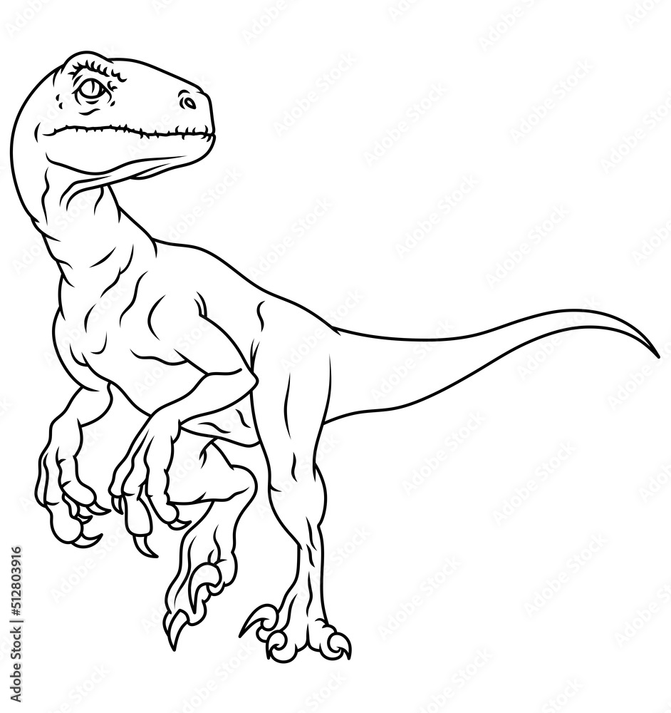 Velociraptor. Dinosaur coloring page. Predatory animal of the Jurassic ...