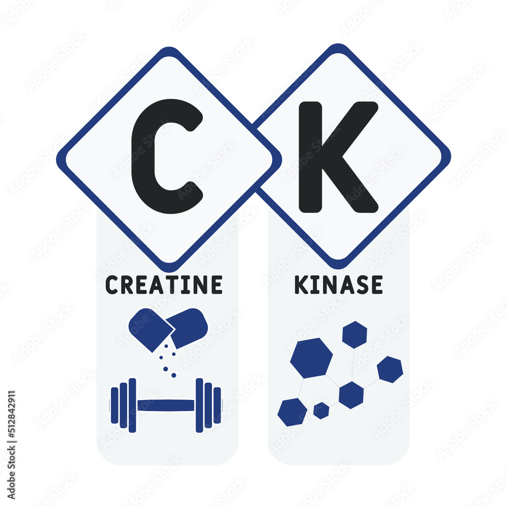 CK Creatine Kinase acronym. business concept background. vector ...