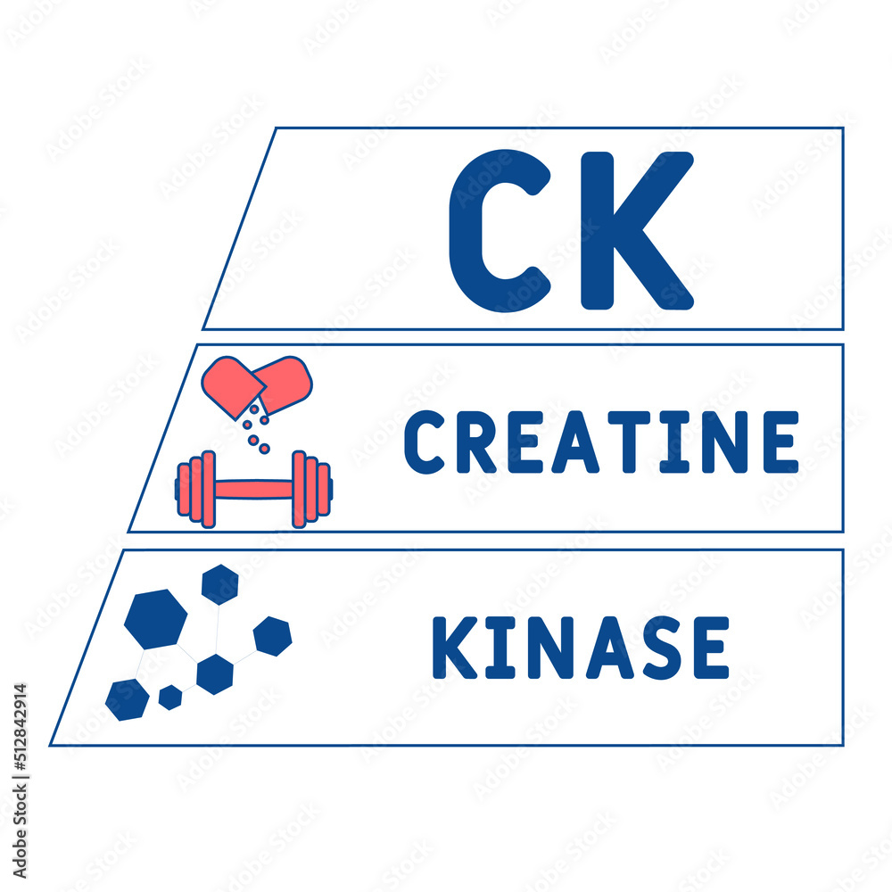 CK Creatine Kinase acronym. business concept background. vector ...