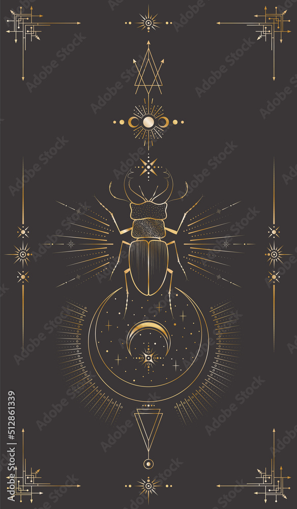 Vector mystic celestial background with golden outline insect, stars ...