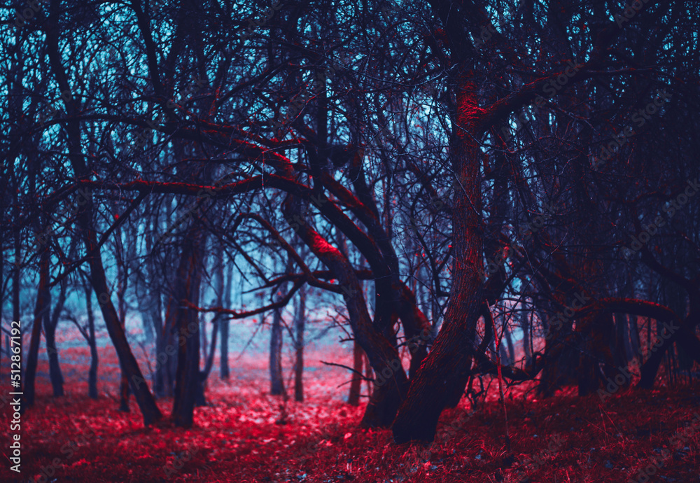 Strangers park. Mysterious fairy forest. Dark fantasy wallpaper ...