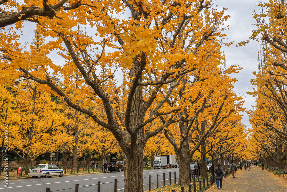 Aoyama area,Tokyo,Japan on December6,2019:Beautiful yellow tunnel at ...