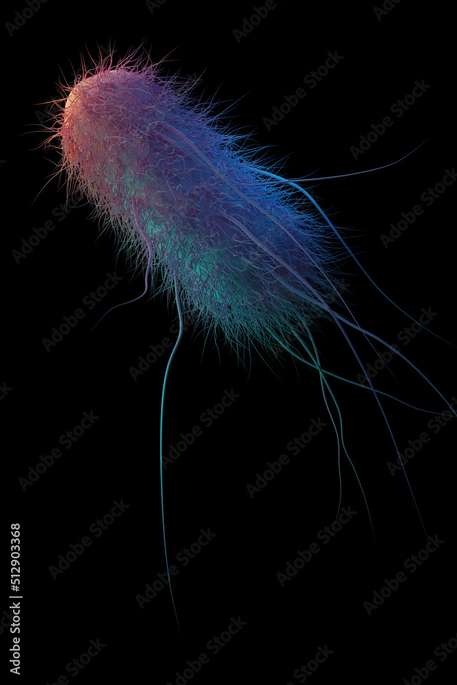 Coliform bacteria, E coli 3d rendering medical science illustration ...